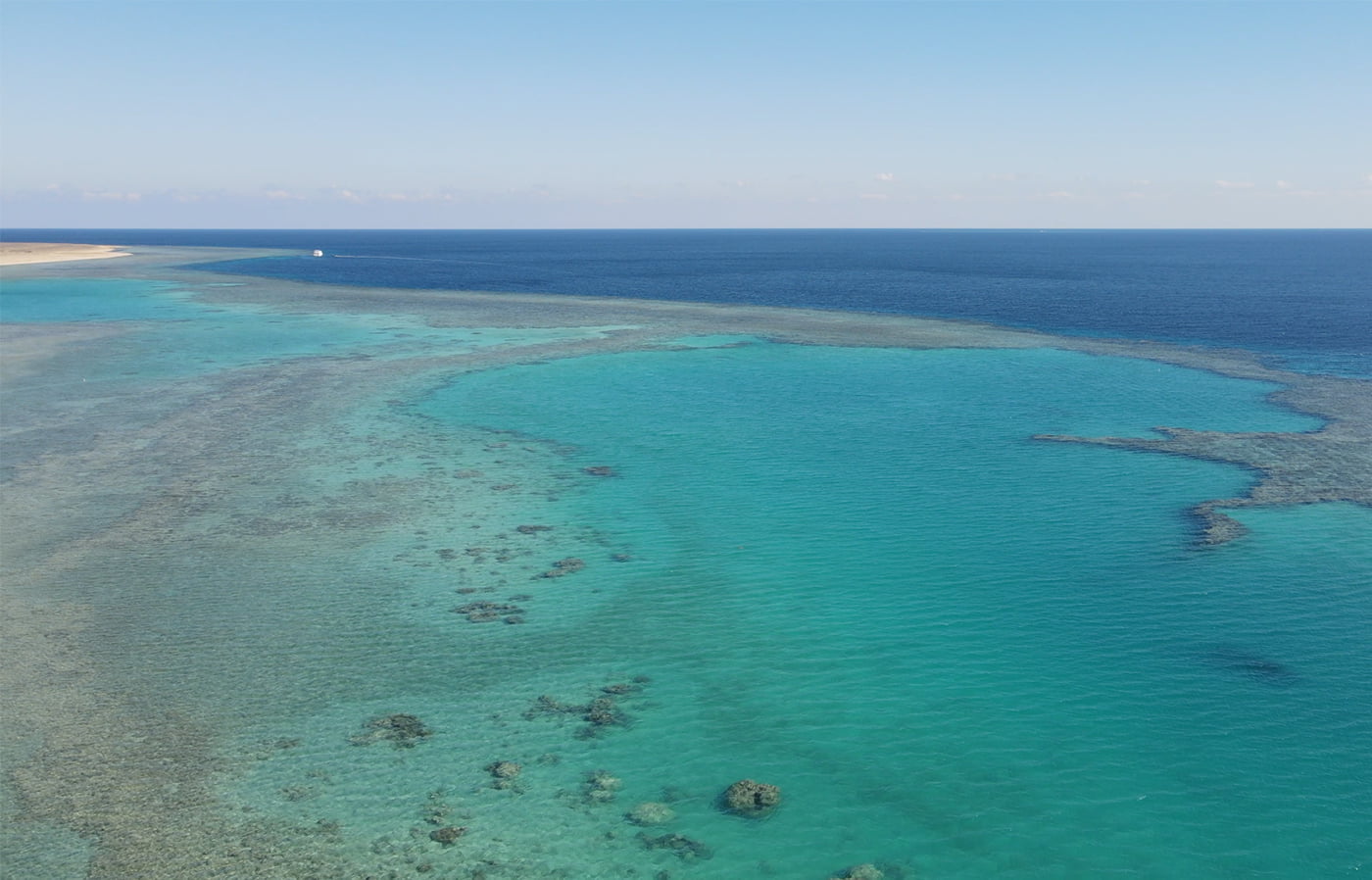 Gallery – Marsa Alam Diving Center | Deep south-divers PADI & SDI.
