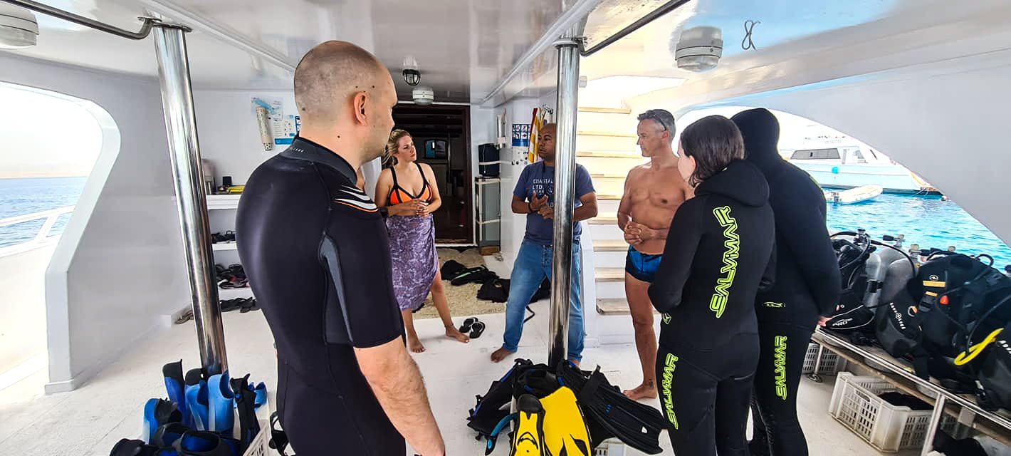 Gallery – Marsa Alam Diving Center | Deep south-divers PADI & SDI.