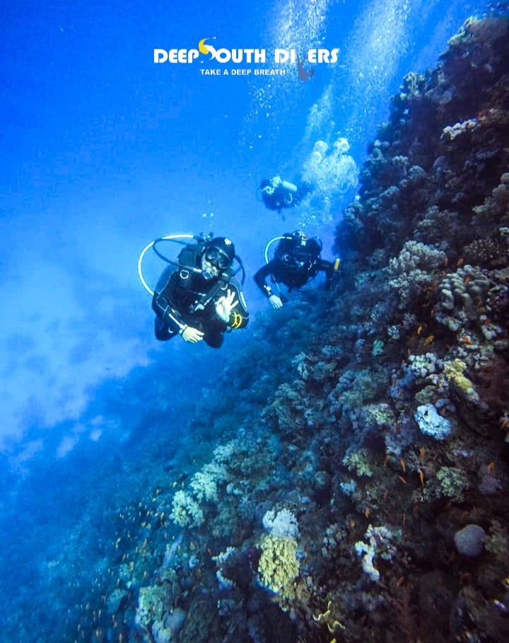Marsa Alam Diving Center | Deep South Divers