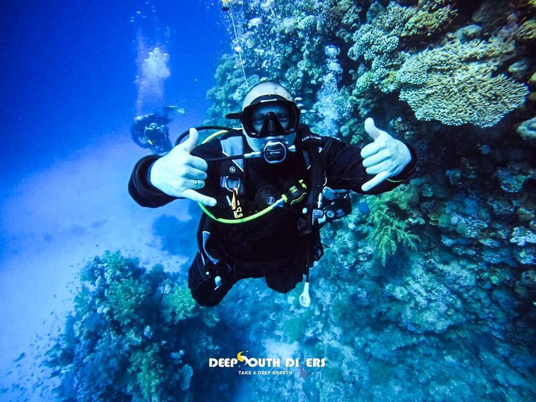 Gallery - Deep South Divers