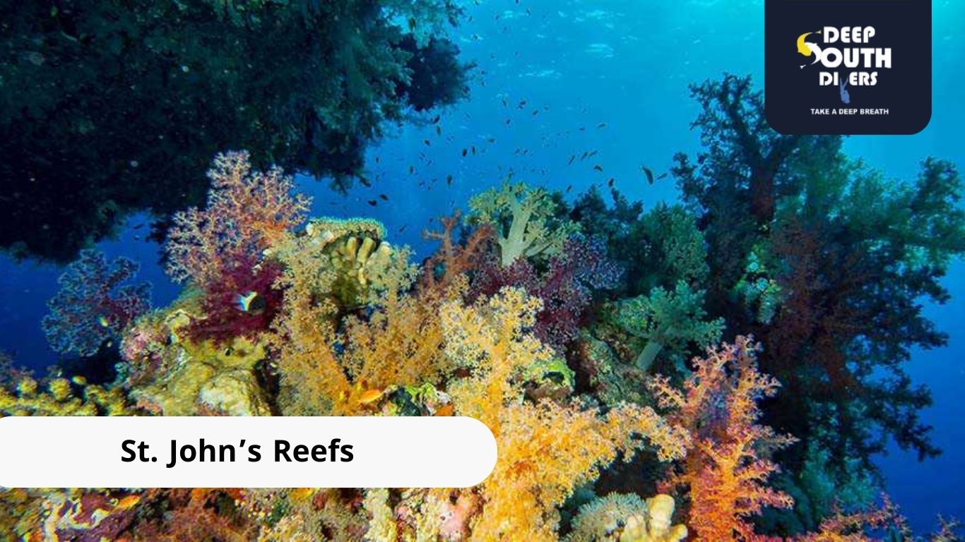 10 Best Things To Do in Marsa Alam: A Diver’s Paradise