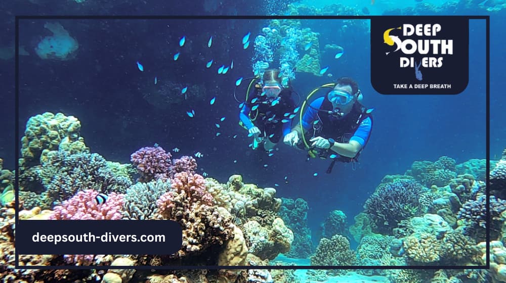 Utopia Beach House Reef South: A Pristine Diving Haven